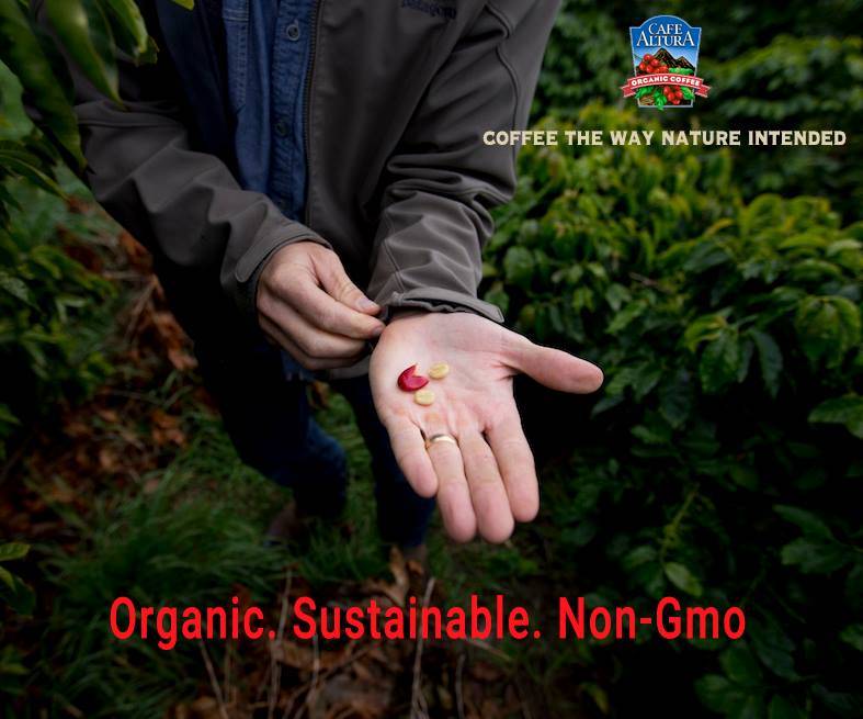 Non GMO Coffee: Spotlight on Cafe Altura - GreenDropShip.com